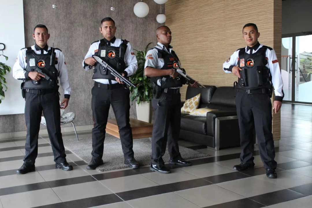 Seguridad Privada Profesional | INGECSEG